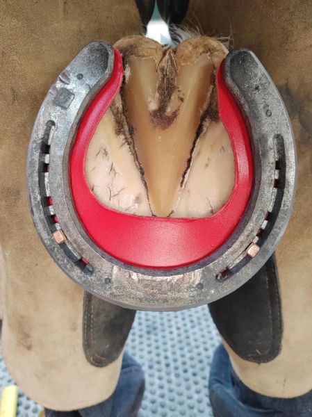 马蹄铁象征什么_马蹄铁挂门口方向-第1张图片-山城妙识 马蹄铁象征什么_马蹄铁挂门口方向-第1张图片-山城妙识