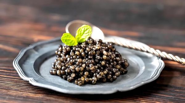 鱼子酱价格多少钱一克_鱼子酱为什么这么贵-第3张图片-山城妙识 鱼子酱价格多少钱一克_鱼子酱为什么这么贵-第3张图片-山城妙识