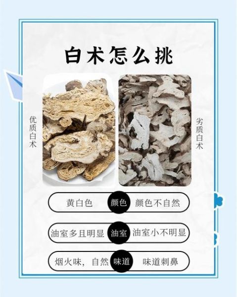 白术的功效与作用及禁忌_白术的副作用有哪些-第3张图片-山城妙识