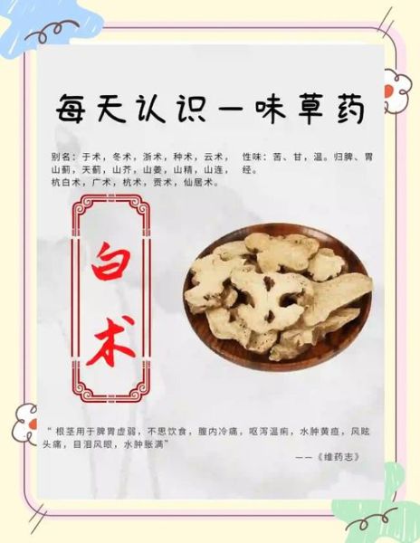 白术的功效与作用及禁忌_白术的副作用有哪些-第2张图片-山城妙识