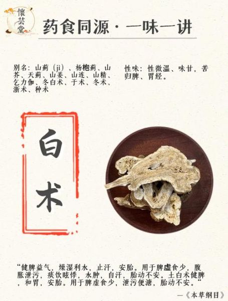 白术的功效与作用及禁忌_白术的副作用有哪些-第1张图片-山城妙识