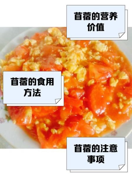 苜蓿柿子怎么种_苜蓿柿子营养价值-第1张图片-山城妙识