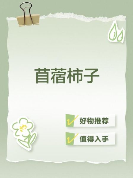 苜蓿柿子怎么种_苜蓿柿子营养价值-第2张图片-山城妙识