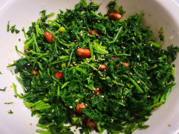 钙菜和芥菜的区别_钙菜图片怎么认-第1张图片-山城妙识 钙菜和芥菜的区别_钙菜图片怎么认-第1张图片-山城妙识