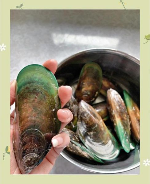 青口贝怎么吃_青口贝怎么清洗-第2张图片-山城妙识 青口贝怎么吃_青口贝怎么清洗-第2张图片-山城妙识