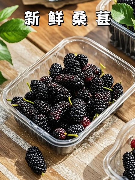 桑葚图片实拍_如何挑选新鲜桑葚-第2张图片-山城妙识 桑葚图片实拍_如何挑选新鲜桑葚-第2张图片-山城妙识