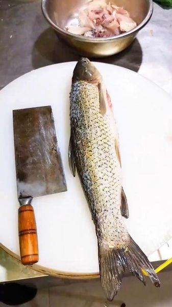 草鱼片怎么切_草鱼片切多厚才嫩-第1张图片-山城妙识 草鱼片怎么切_草鱼片切多厚才嫩-第1张图片-山城妙识