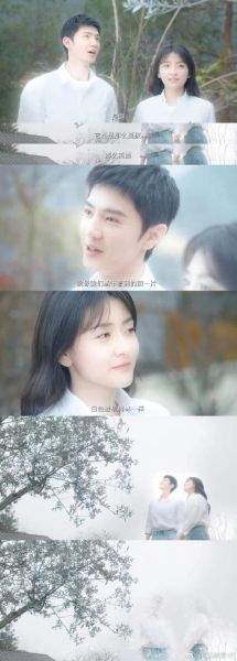 橄榄树电视剧大结局_冯国栋最后和谁在一起-第2张图片-山城妙识 橄榄树电视剧大结局_冯国栋最后和谁在一起-第2张图片-山城妙识