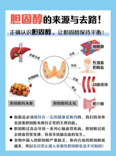 胆固醇高的原因和禁忌_胆固醇高不能吃什么-第2张图片-山城妙识 胆固醇高的原因和禁忌_胆固醇高不能吃什么-第2张图片-山城妙识