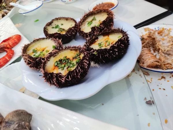 海胆怎么吃_海胆刺身做法-第3张图片-山城妙识 海胆怎么吃_海胆刺身做法-第3张图片-山城妙识