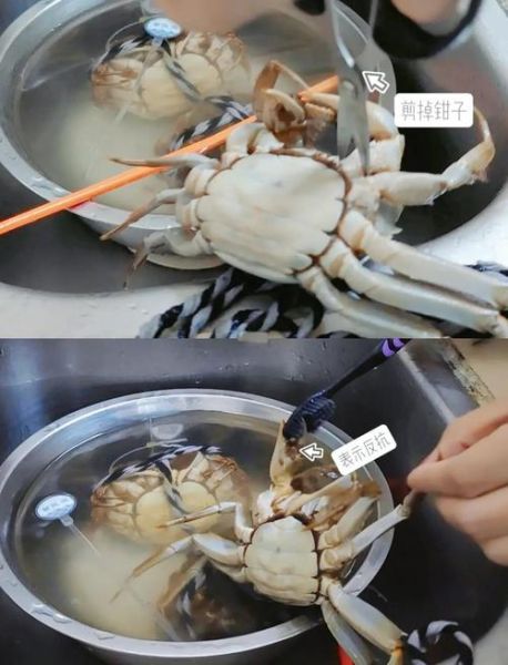 红烧大闸蟹怎么做_大闸蟹清洗技巧-第3张图片-山城妙识 红烧大闸蟹怎么做_大闸蟹清洗技巧-第3张图片-山城妙识