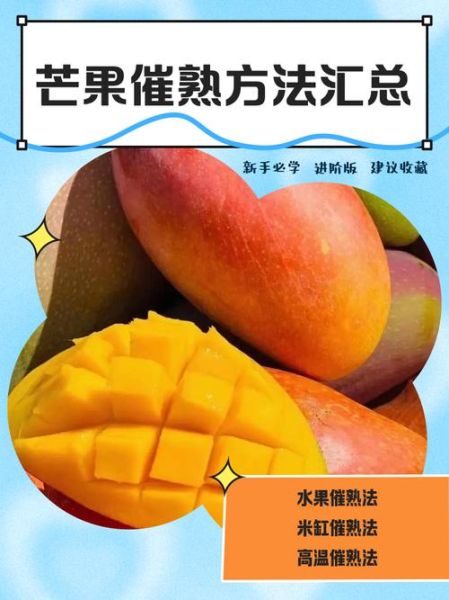 芒果怎么催熟不会烂_芒果催熟最快方法-第3张图片-山城妙识 芒果怎么催熟不会烂_芒果催熟最快方法-第3张图片-山城妙识