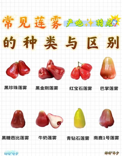 莲雾怎么吃好吃_莲雾的正确吃法-第1张图片-山城妙识 莲雾怎么吃好吃_莲雾的正确吃法-第1张图片-山城妙识