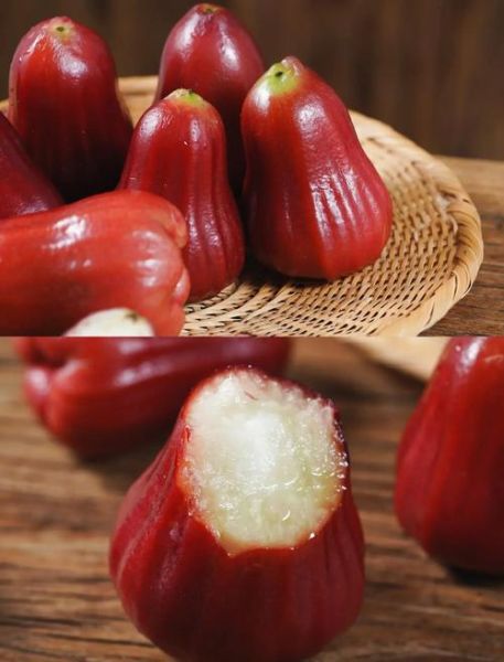 莲雾怎么吃好吃_莲雾的正确吃法-第2张图片-山城妙识 莲雾怎么吃好吃_莲雾的正确吃法-第2张图片-山城妙识