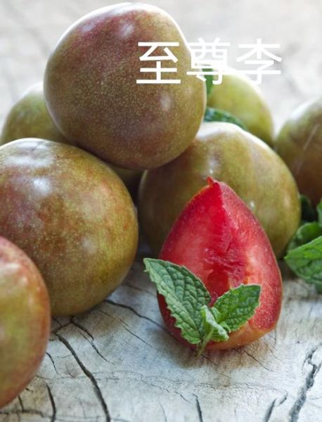 西梅和李子的区别_西梅和李子哪个更通便-第3张图片-山城妙识 西梅和李子的区别_西梅和李子哪个更通便-第3张图片-山城妙识