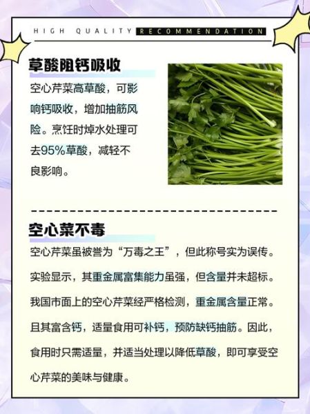 芹菜不适合什么人吃_哪些人群不能吃芹菜-第1张图片-山城妙识