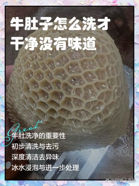 清洗牛肚最正确的方法_牛肚怎么洗才干净没异味-第1张图片-山城妙识 清洗牛肚最正确的方法_牛肚怎么洗才干净没异味-第1张图片-山城妙识