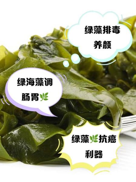 海藻功效与作用_海藻禁忌人群有哪些-第3张图片-山城妙识 海藻功效与作用_海藻禁忌人群有哪些-第3张图片-山城妙识