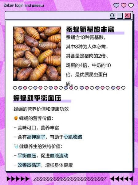 蚕蛹和蜂蛹哪个营养价值高_蚕蛹和蜂蛹营养对比-第1张图片-山城妙识 蚕蛹和蜂蛹哪个营养价值高_蚕蛹和蜂蛹营养对比-第1张图片-山城妙识