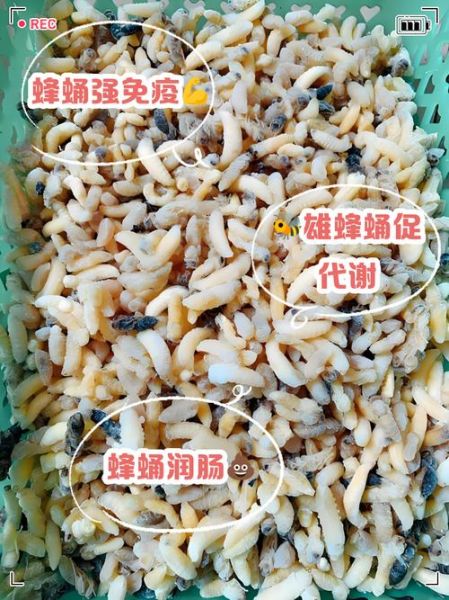 蚕蛹和蜂蛹哪个营养价值高_蚕蛹和蜂蛹营养对比-第2张图片-山城妙识 蚕蛹和蜂蛹哪个营养价值高_蚕蛹和蜂蛹营养对比-第2张图片-山城妙识