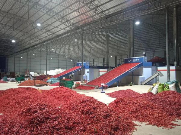 辣椒烘干机工作原理_辣椒烘干机结构图详解-第2张图片-山城妙识 辣椒烘干机工作原理_辣椒烘干机结构图详解-第2张图片-山城妙识