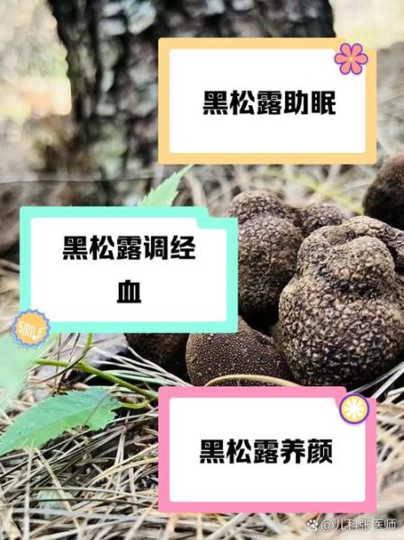 黑松露什么人不能吃_黑松露禁忌人群有哪些-第3张图片-山城妙识 黑松露什么人不能吃_黑松露禁忌人群有哪些-第3张图片-山城妙识