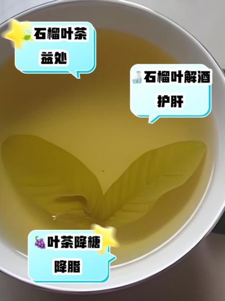 番石榴叶茶能降血糖吗_番石榴叶茶怎么泡-第1张图片-山城妙识 番石榴叶茶能降血糖吗_番石榴叶茶怎么泡-第1张图片-山城妙识