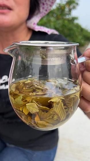 番石榴叶茶能降血糖吗_番石榴叶茶怎么泡-第3张图片-山城妙识 番石榴叶茶能降血糖吗_番石榴叶茶怎么泡-第3张图片-山城妙识