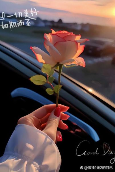 最美的一朵玫瑰花图片_如何拍摄出高级感-第3张图片-山城妙识 最美的一朵玫瑰花图片_如何拍摄出高级感-第3张图片-山城妙识