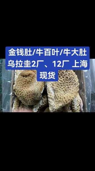 牛百叶和牛肚是一个东西吗_区别与选购指南-第3张图片-山城妙识 牛百叶和牛肚是一个东西吗_区别与选购指南-第3张图片-山城妙识