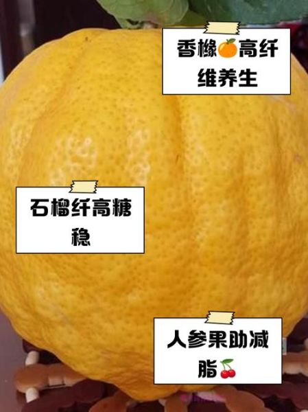 粗纤维水果有哪些_高纤维水果排行榜-第3张图片-山城妙识 粗纤维水果有哪些_高纤维水果排行榜-第3张图片-山城妙识