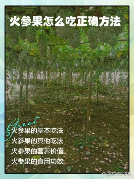 火参果怎么吃图解_火参果吃法大全-第2张图片-山城妙识
