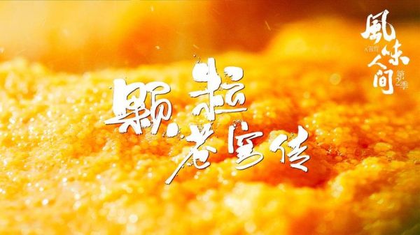 舌尖上的中国第二季免费观看_哪里能看完整版-第2张图片-山城妙识