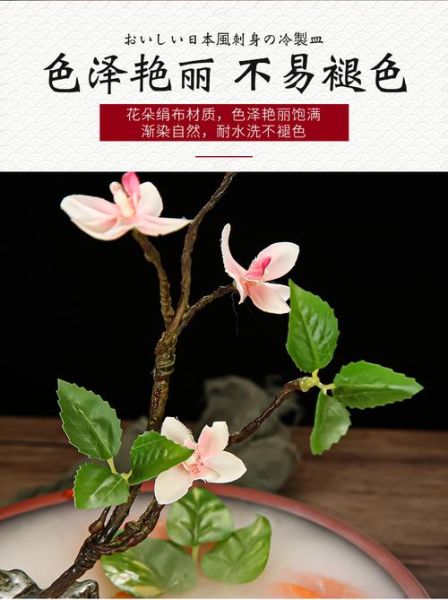 冷菜围边花草图片_哪些植物适合摆盘-第1张图片-山城妙识 冷菜围边花草图片_哪些植物适合摆盘-第1张图片-山城妙识