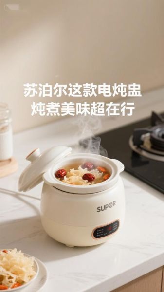 电炖盅哪个牌子好_电炖盅十大品牌排名-第3张图片-山城妙识
