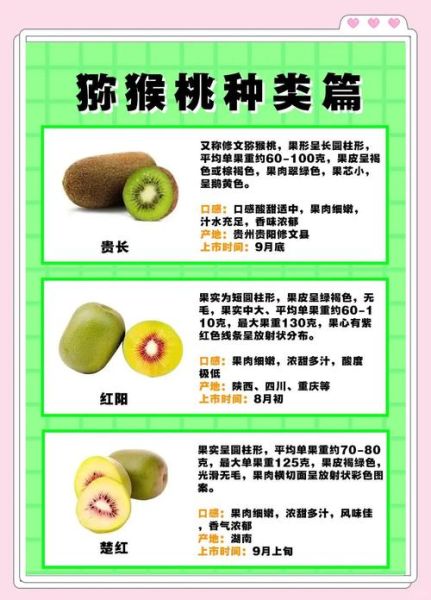 一天吃几个猕猴桃合适_吃多了会怎样-第1张图片-山城妙识 一天吃几个猕猴桃合适_吃多了会怎样-第1张图片-山城妙识