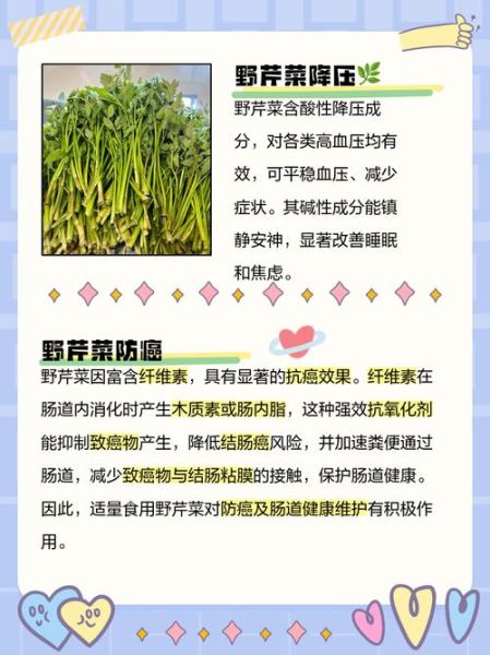 吃野芹菜有什么好处_野芹菜的功效与作用-第1张图片-山城妙识