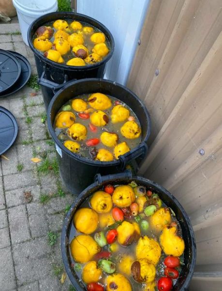 酵素的做法大全图解_自制水果酵素步骤-第2张图片-山城妙识 酵素的做法大全图解_自制水果酵素步骤-第2张图片-山城妙识