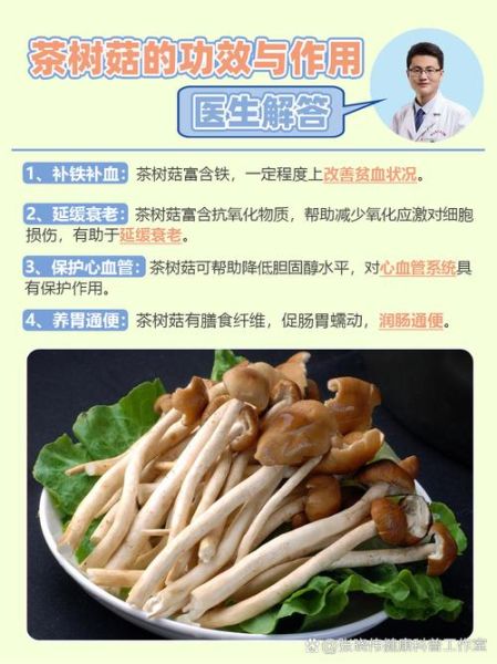 茶树菇的功效与作用_茶树菇的禁忌有哪些-第2张图片-山城妙识