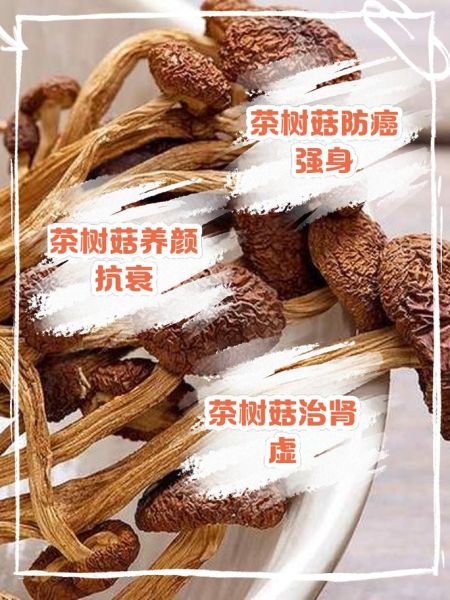 茶树菇的功效与作用_茶树菇的禁忌有哪些-第1张图片-山城妙识