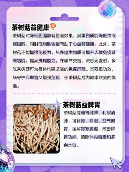 茶树菇的功效与作用_茶树菇的禁忌有哪些-第3张图片-山城妙识