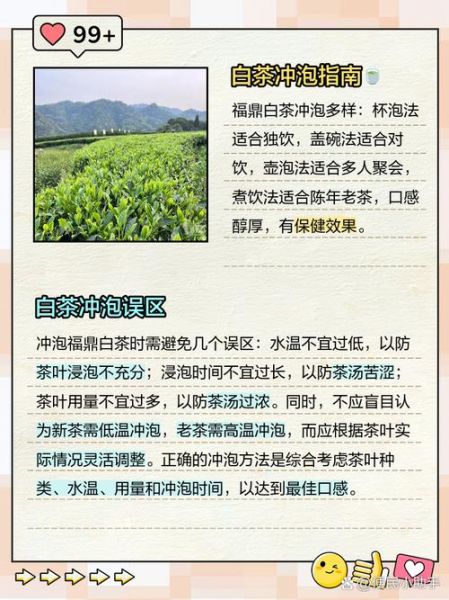 白茶怎么泡好喝_白茶的功效与作用-第2张图片-山城妙识 白茶怎么泡好喝_白茶的功效与作用-第2张图片-山城妙识