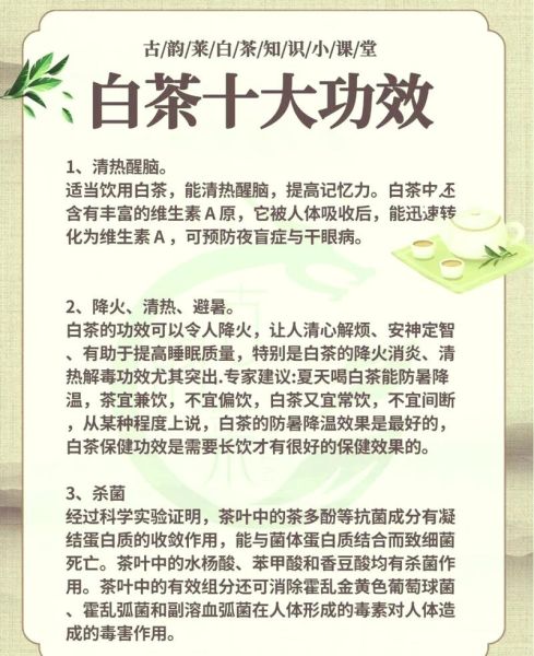 白茶怎么泡好喝_白茶的功效与作用-第1张图片-山城妙识 白茶怎么泡好喝_白茶的功效与作用-第1张图片-山城妙识