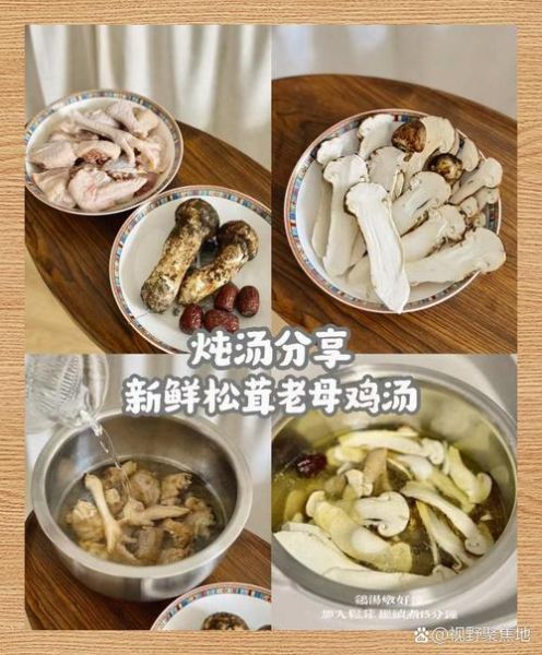 松茸炖鸡汤的做法_松茸炖鸡汤的功效与禁忌-第1张图片-山城妙识 松茸炖鸡汤的做法_松茸炖鸡汤的功效与禁忌-第1张图片-山城妙识