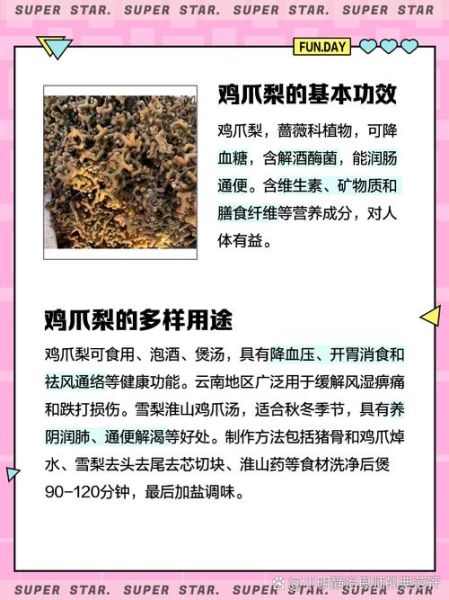 鸡爪梨泡酒怎么泡_鸡爪梨泡酒比例是多少-第1张图片-山城妙识 鸡爪梨泡酒怎么泡_鸡爪梨泡酒比例是多少-第1张图片-山城妙识