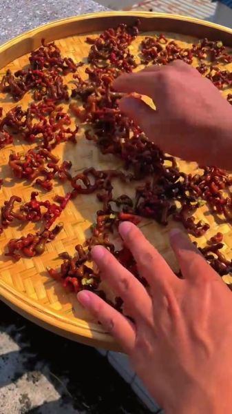 鸡爪梨泡酒怎么泡_鸡爪梨泡酒比例是多少-第3张图片-山城妙识 鸡爪梨泡酒怎么泡_鸡爪梨泡酒比例是多少-第3张图片-山城妙识