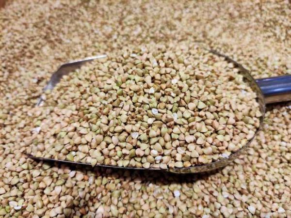 荞麦什么时候成熟_荞麦生长周期多久-第1张图片-山城妙识 荞麦什么时候成熟_荞麦生长周期多久-第1张图片-山城妙识