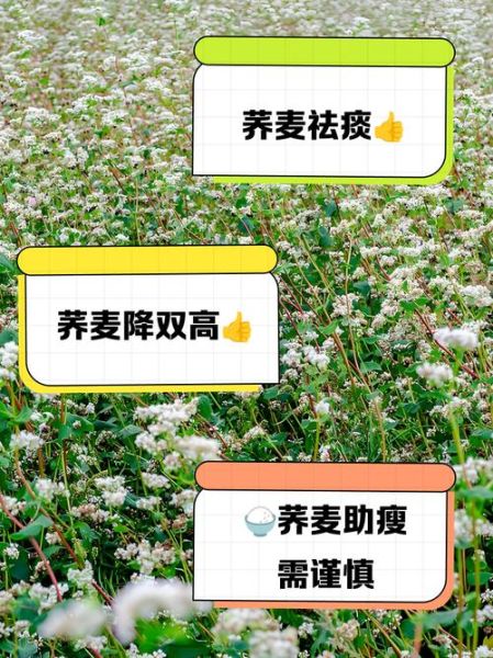 荞麦什么时候成熟_荞麦生长周期多久-第2张图片-山城妙识 荞麦什么时候成熟_荞麦生长周期多久-第2张图片-山城妙识