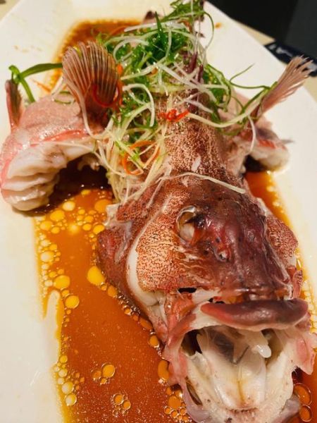 红石斑鱼怎么清蒸_红石斑鱼家常做法-第2张图片-山城妙识 红石斑鱼怎么清蒸_红石斑鱼家常做法-第2张图片-山城妙识