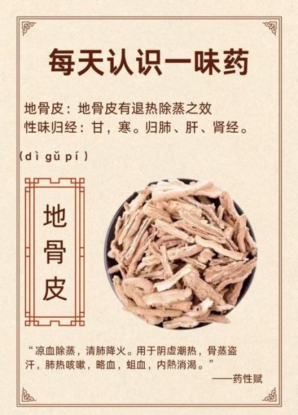 地骨皮的功效与作用有哪些_地骨皮图片长什么样-第1张图片-山城妙识 地骨皮的功效与作用有哪些_地骨皮图片长什么样-第1张图片-山城妙识